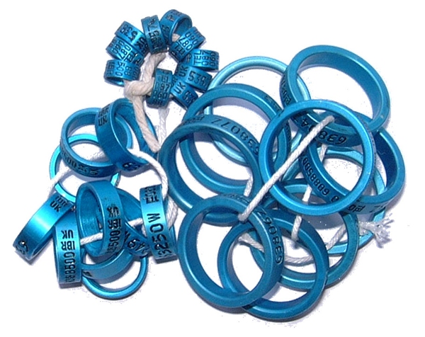 Falconry equipment - falconry equipment online - cheap bird vitamins